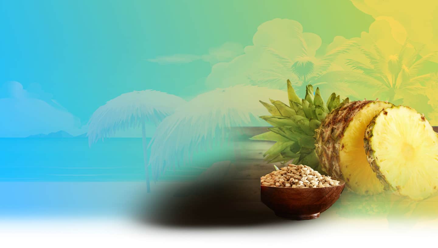 Mr. Pineapple | Arizona Craft Beers | SanTan Brewing Company